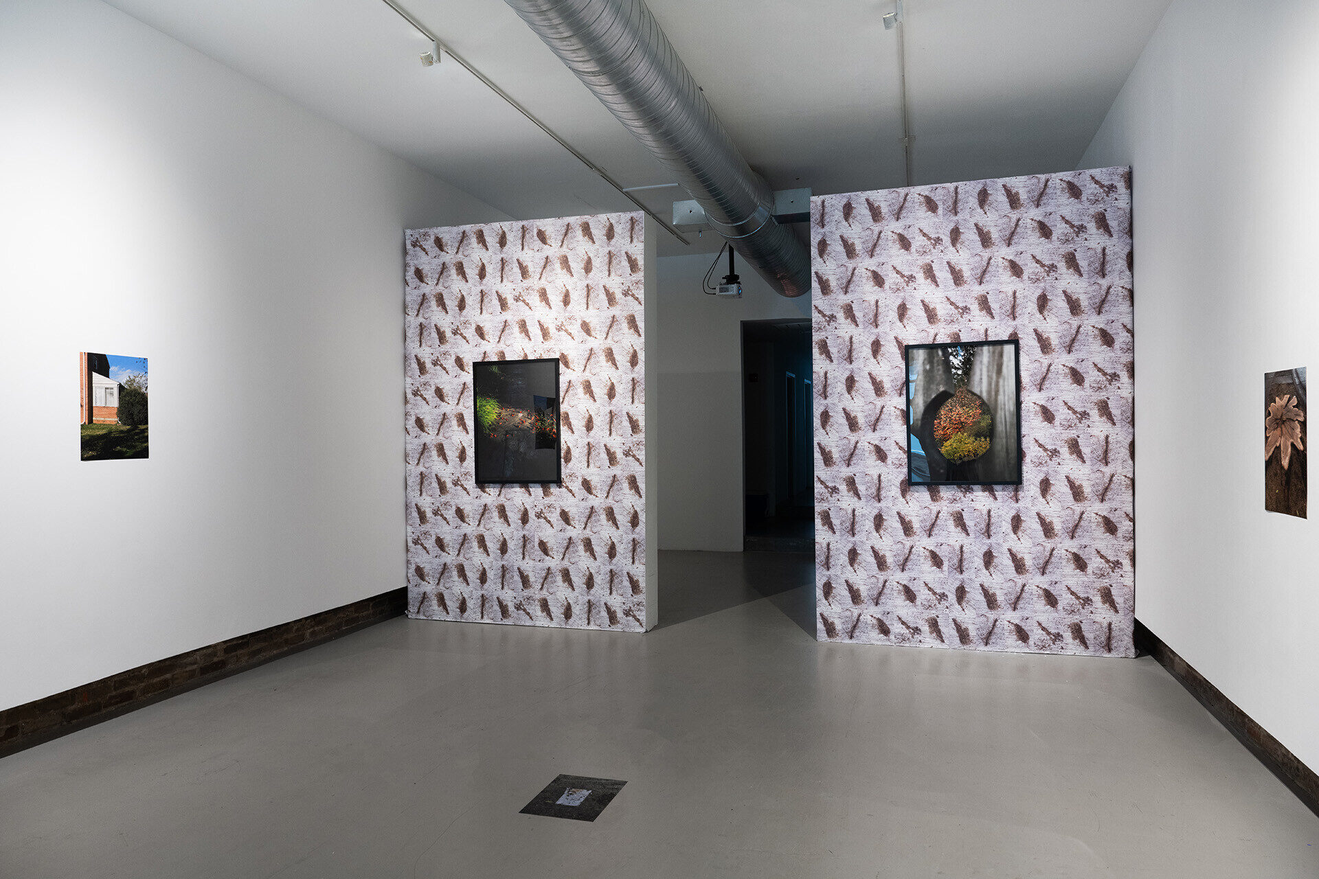 Glimpse, Gathered - Hamiltonian Artists