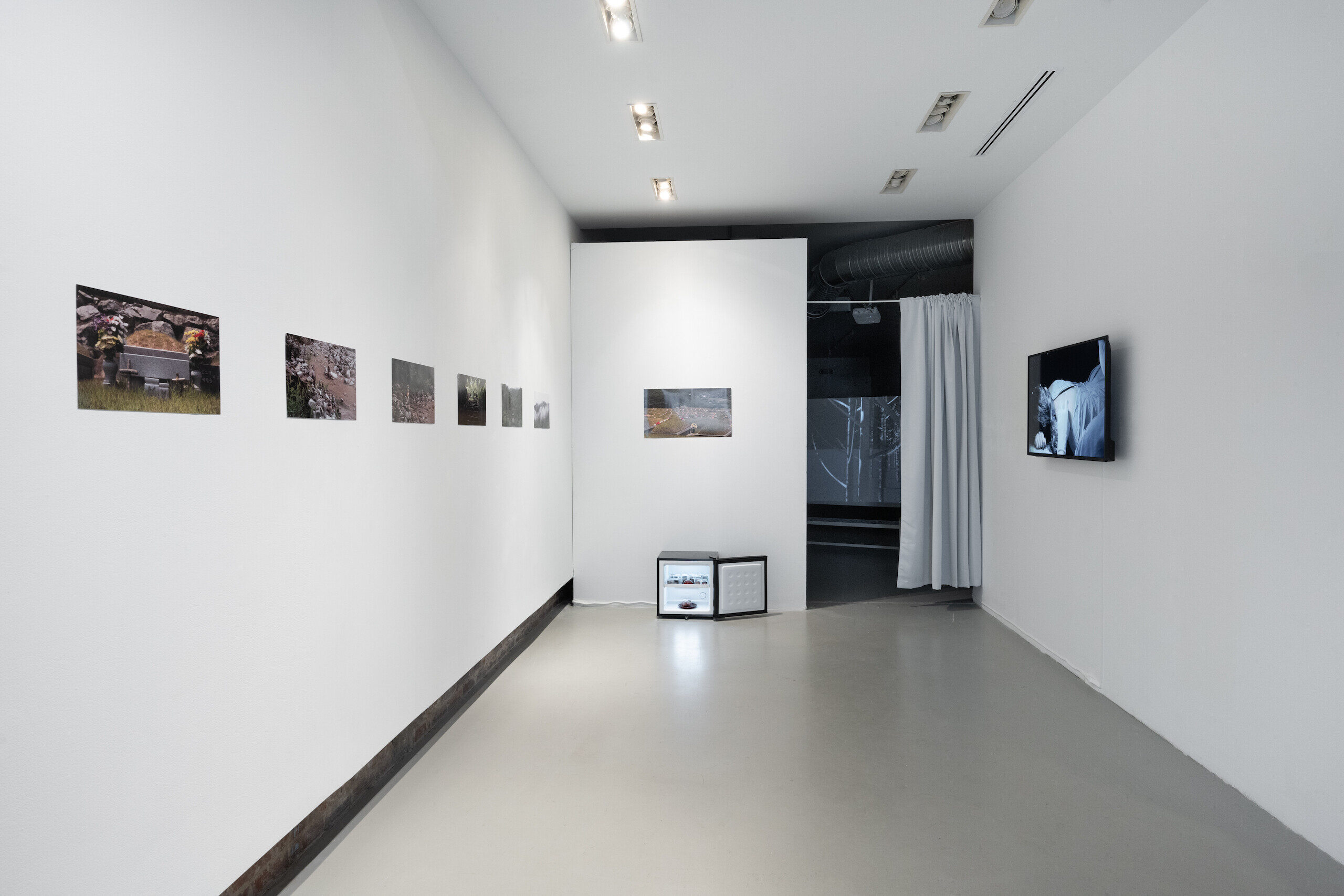 Cecilia Kim - Hamiltonian Artists