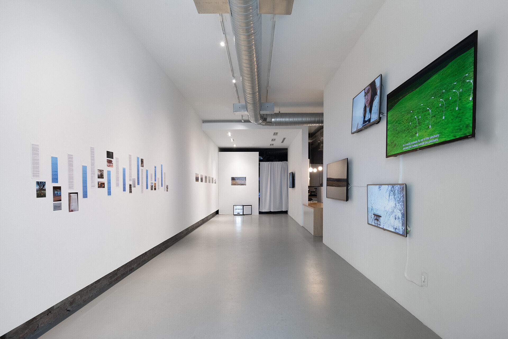 Cecilia Kim - Hamiltonian Artists