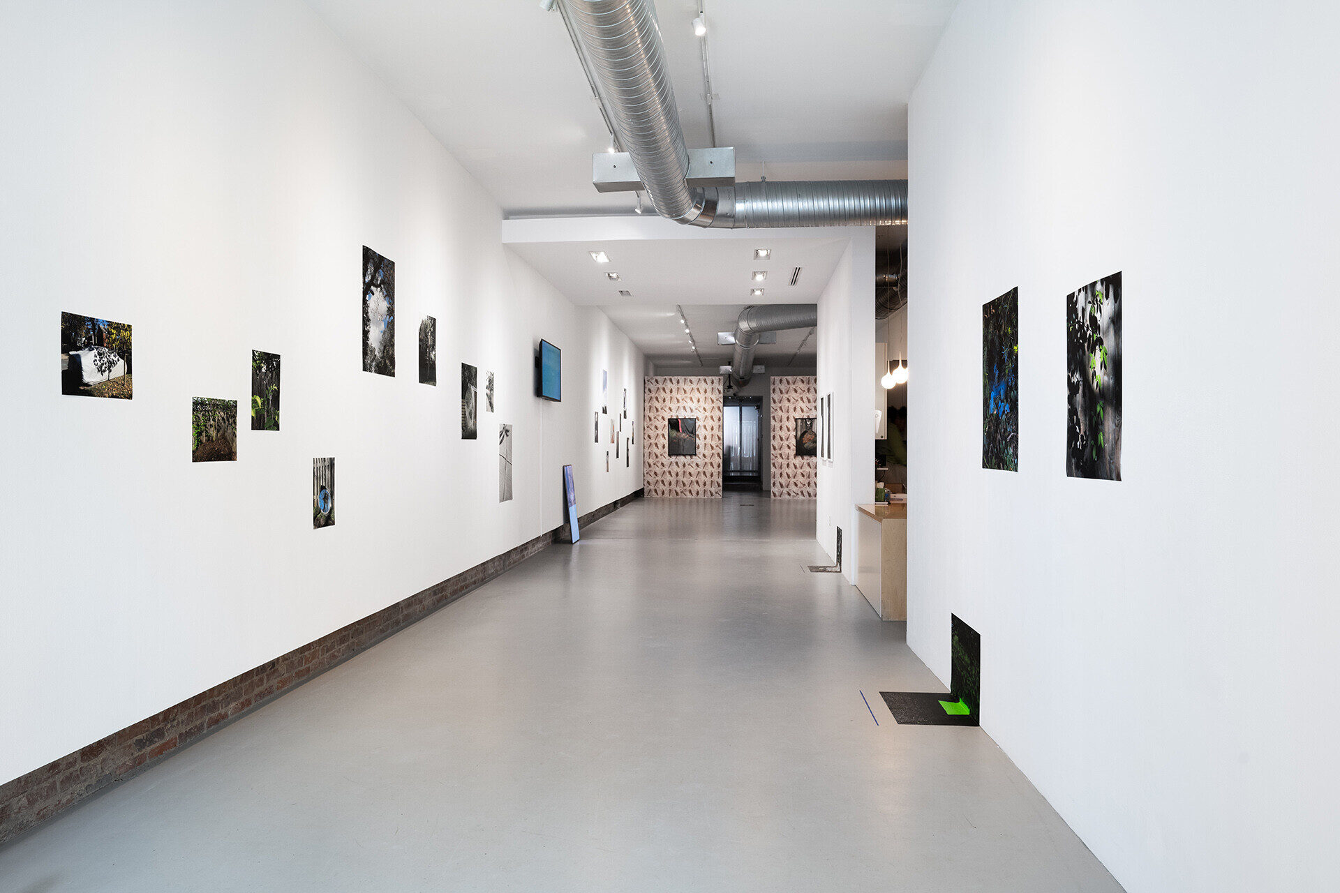 María Luz Bravo - Hamiltonian Artists