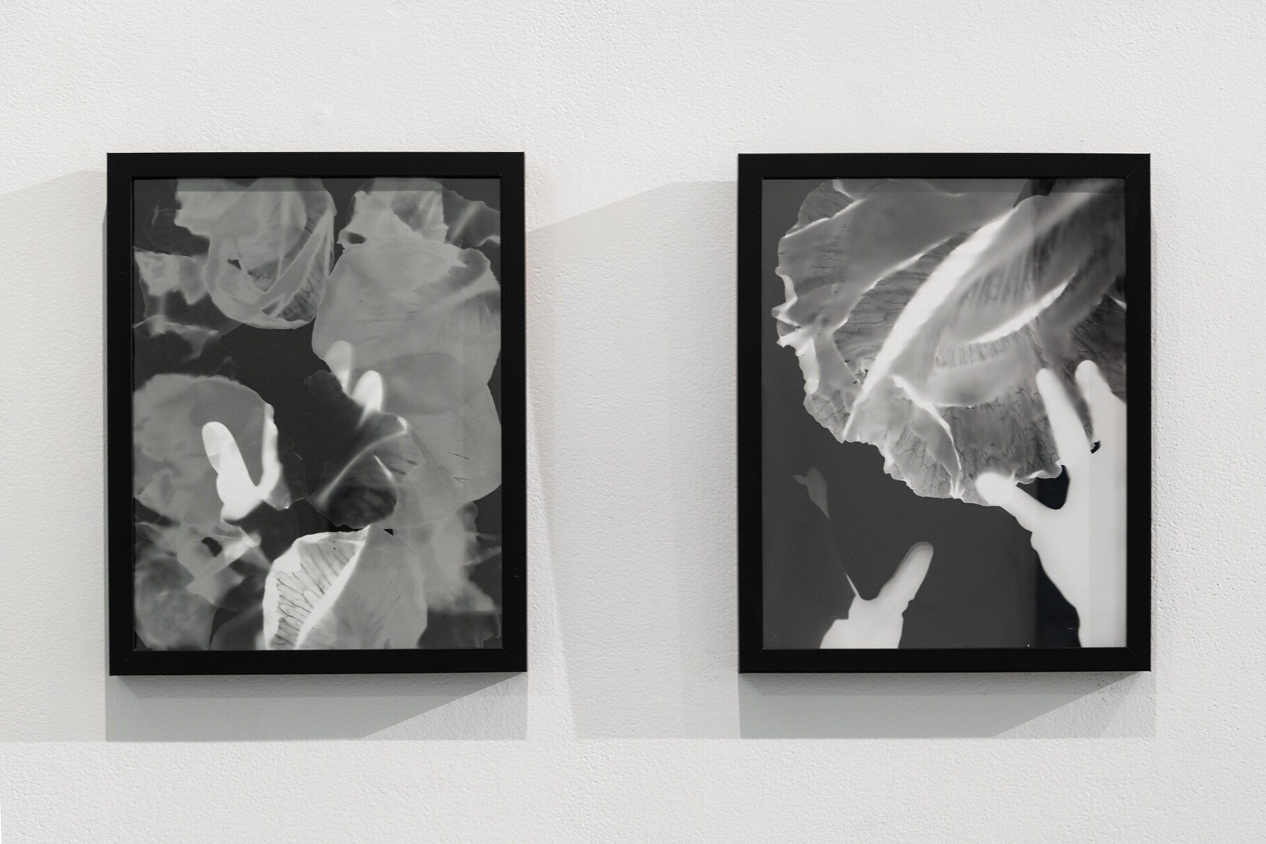 Empirical Evidence - Hamiltonian Artists