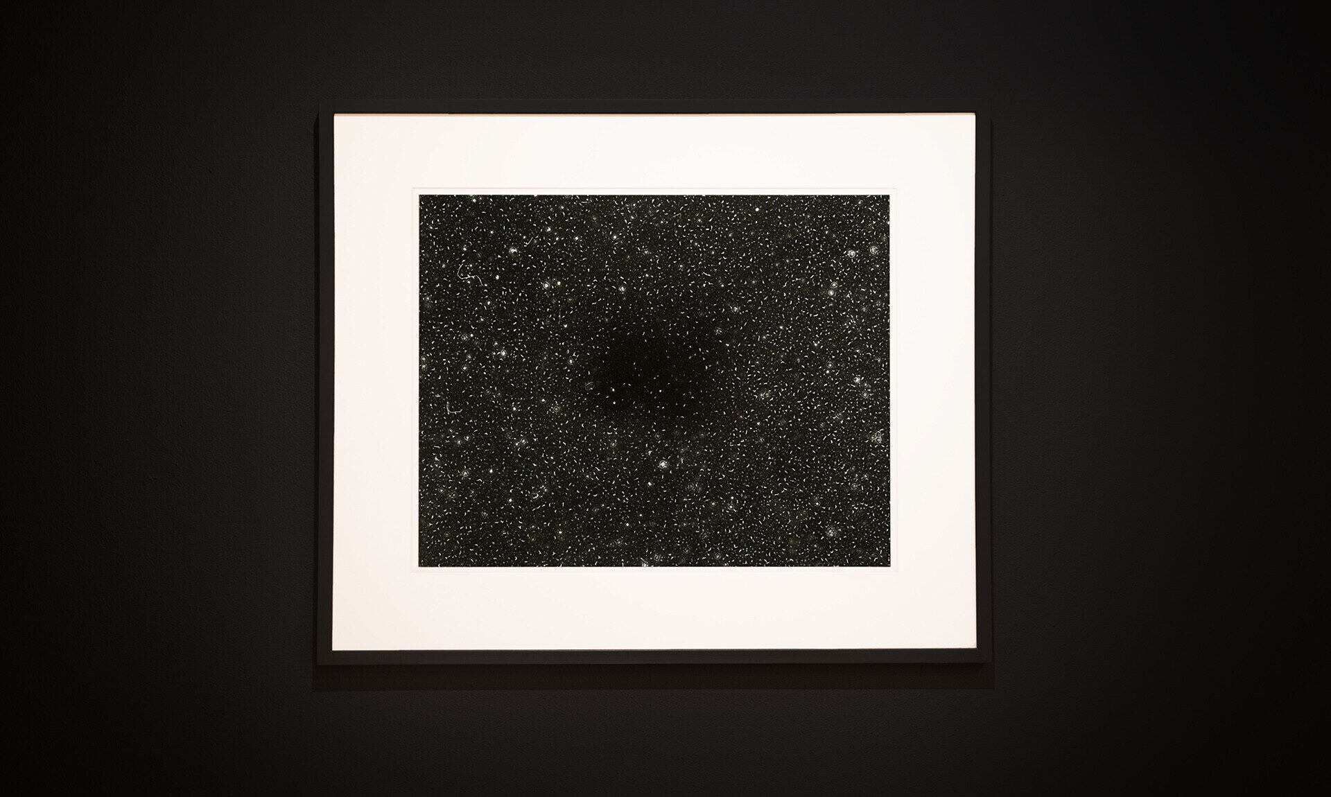 Sobia Ahmad - Hamiltonian Artists