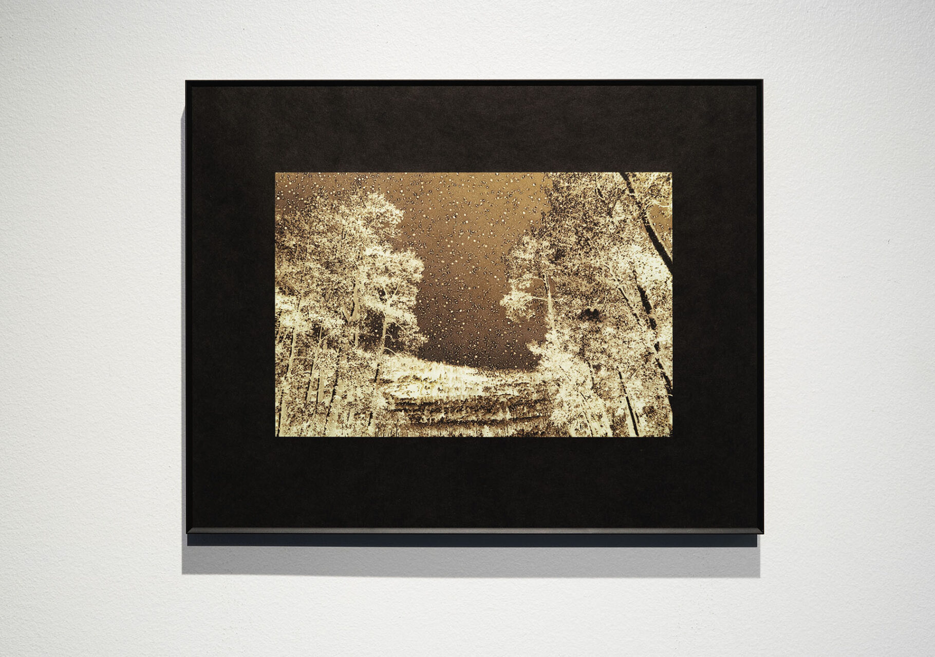 Sobia Ahmad - Hamiltonian Artists