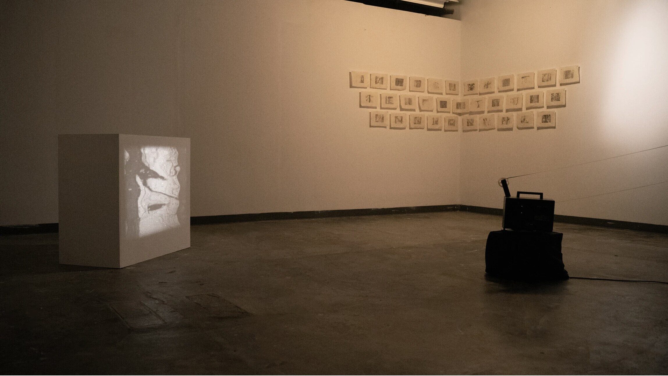 Sobia Ahmad - Hamiltonian Artists